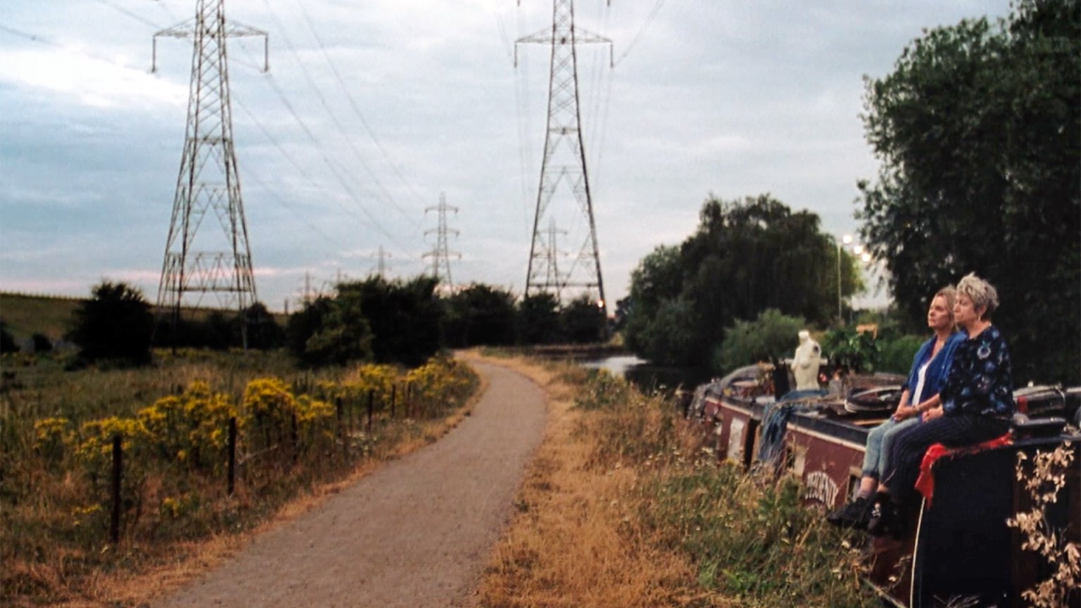 The Phoenix - Stephanie Taylor